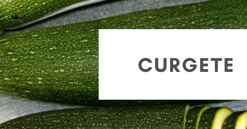 Frutaria Tavares - Curgete Nacional